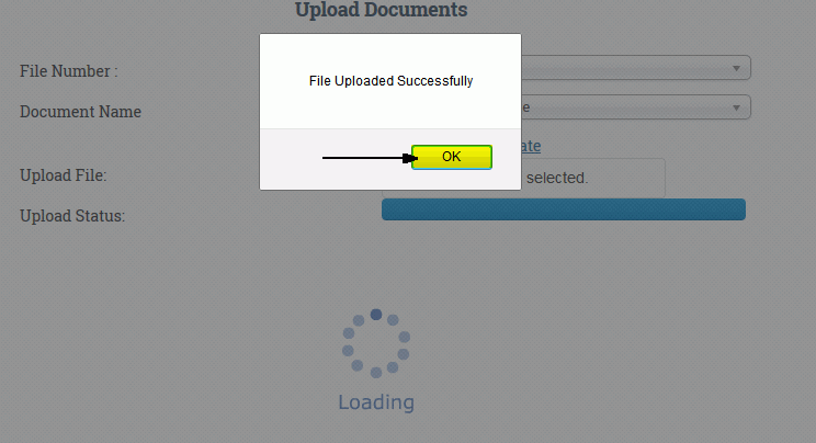 PI Guidelines - Resubmit of Documents